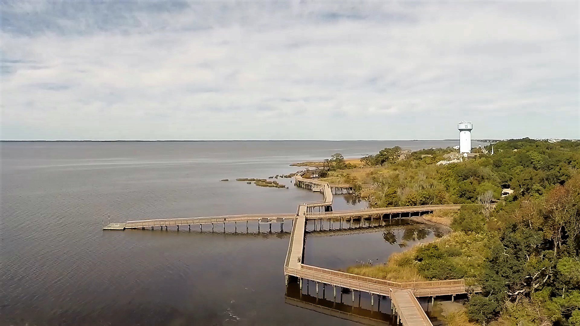 Nature on the Duck Boardwalk - Town of Duck, North Carolina