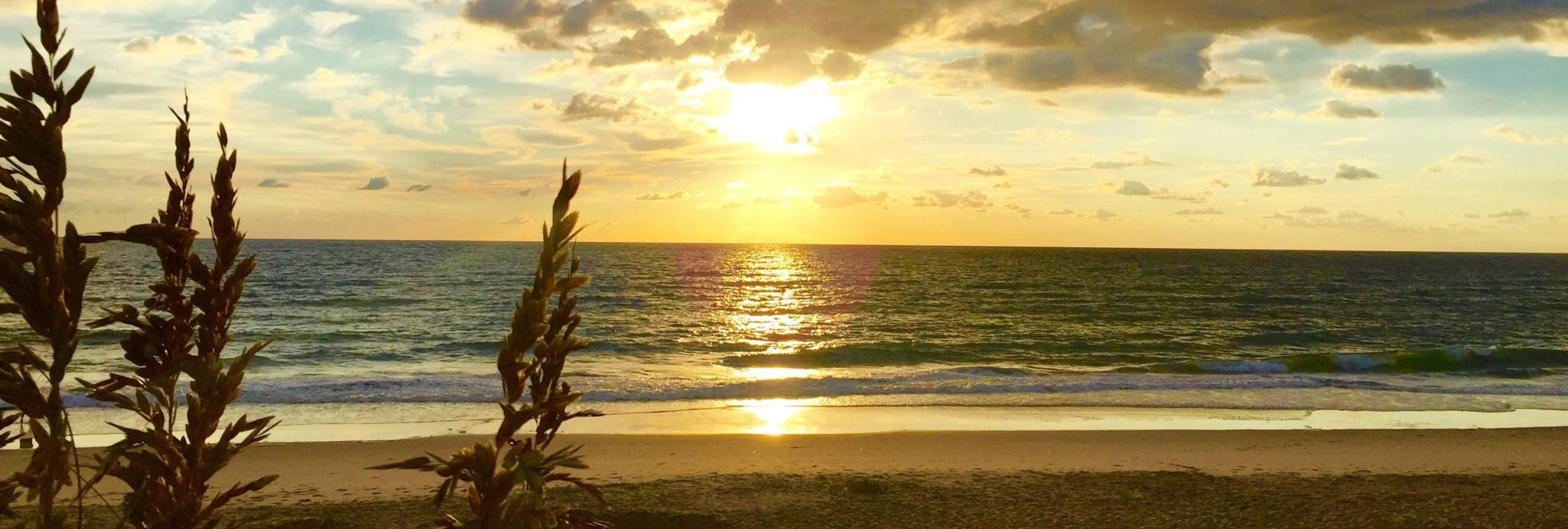 Visit Duck, NC on the Outer Banks | Town of Duck